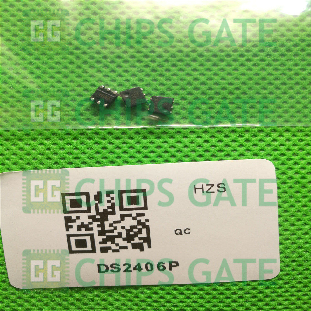 Buy DS2406P IC chips Online, Best price | Iainventory